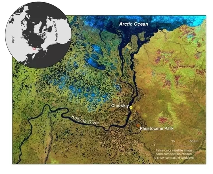 Malo otchedwa Pleistocene Park 10576_1