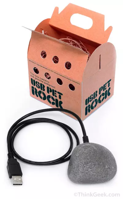 Pet Rock napájený přes USB ožívá, stále nic nedělá 1145_1