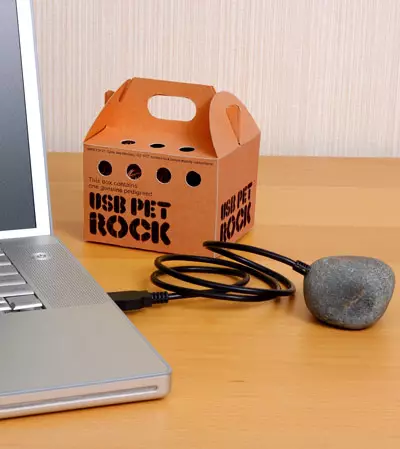 Pet Rock alimentato tramite USB prende vita, ma non fa ancora nulla 1145_2