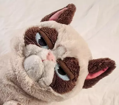 Grumpy Cat Puppet