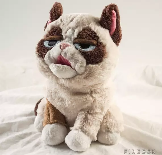 Grumpy Cat куурчак 1148_1