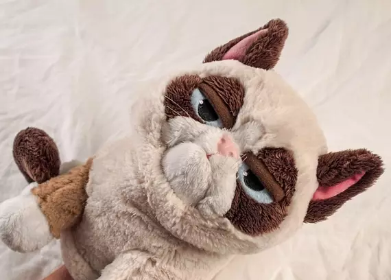 Grumpy Cat Puppet 1148_2