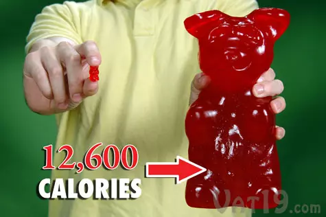 Ursulețul uriaș de gumă îți arată cum arată 12.600 de calorii