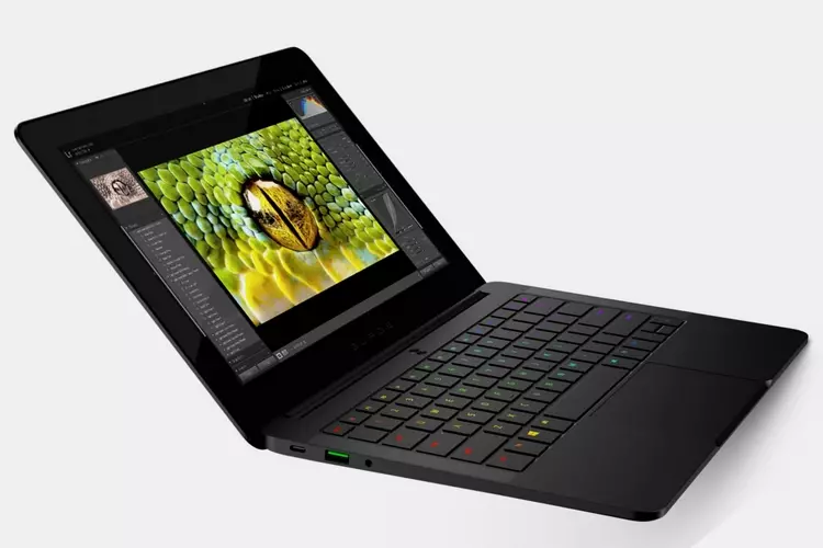 Razer Blade Stealth 12242_1