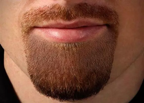 منقذ Goateesaver يساعدك على Manscape The Perfect Goatee 1318_3