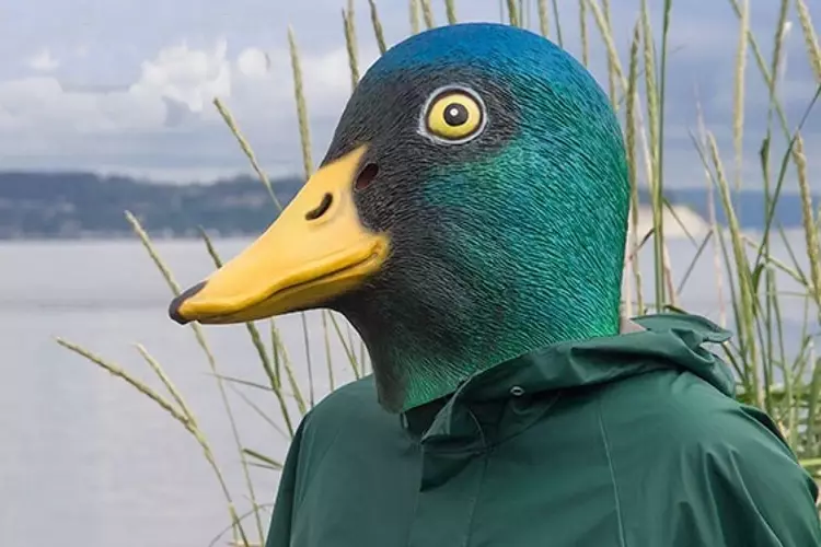 Mallard Duck Mask 14603_1