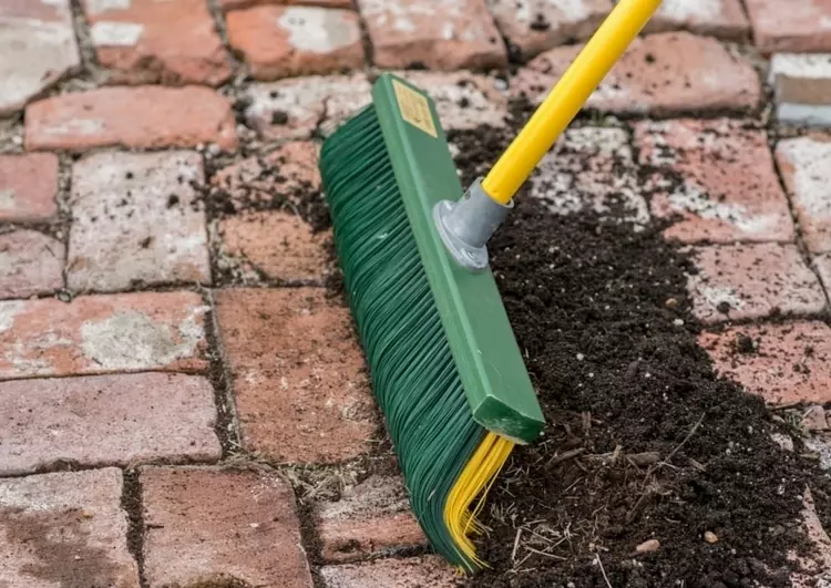 Handhægur Camel Renegade Broom