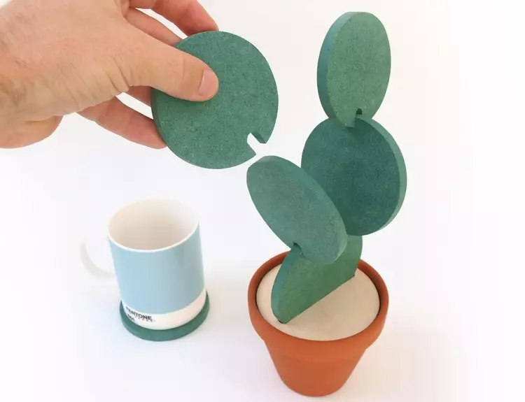 Sottobicchieri di cactus