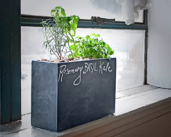 Modern Sprout Hydroponic Planter 1787_2