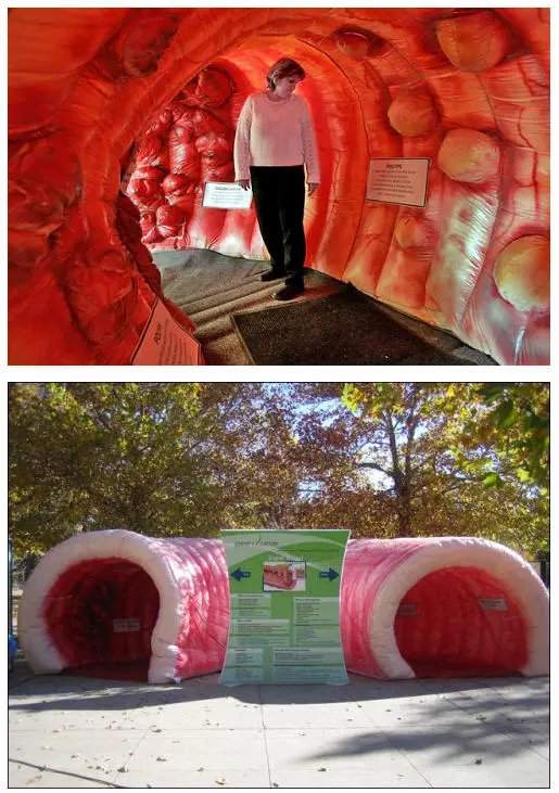 Le Super Colon: A'oa'o Pe Fa'afefea le Lagona i le Avea ma otaota o Tagata 19679_1