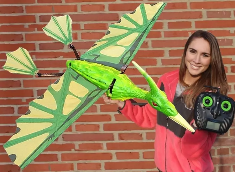 RC Pterodáctilo Voador 2725_1