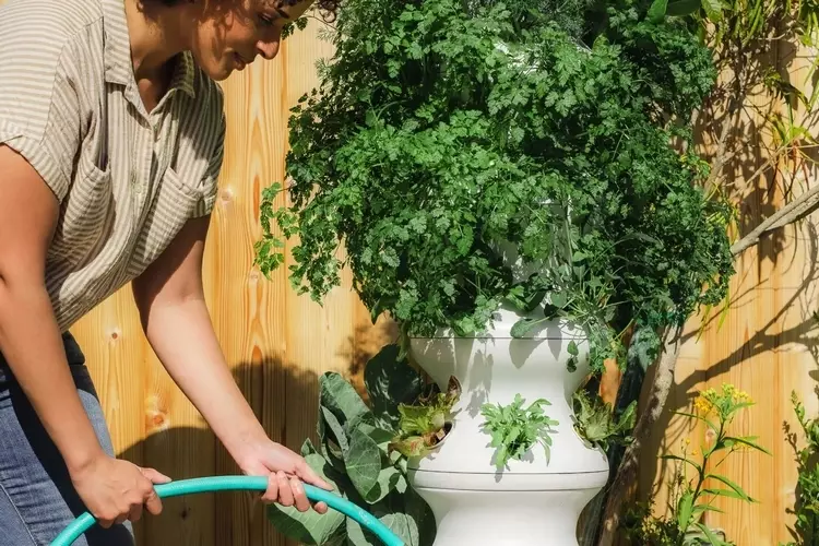 Ang Labing Maayo nga Vertical Planters Para sa Deck Ug Patio