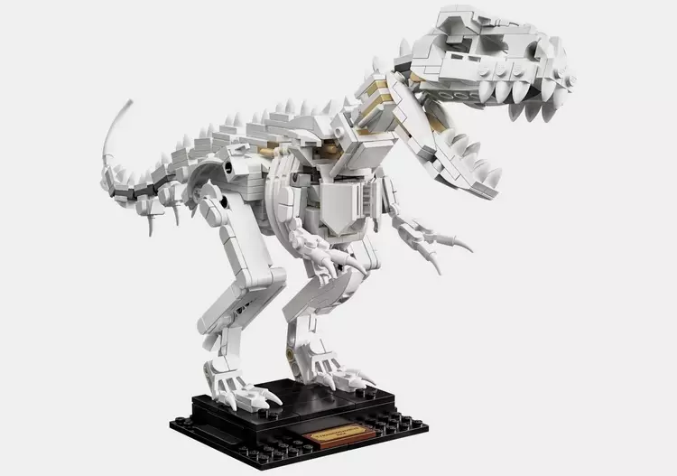 LEGO Ideas Skamieliny dinozaurów 341_2