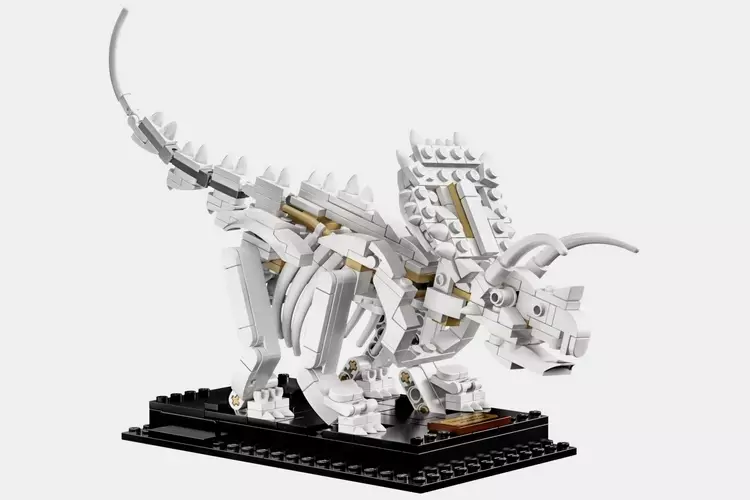 LEGO Ideas Skamieliny dinozaurów 341_3