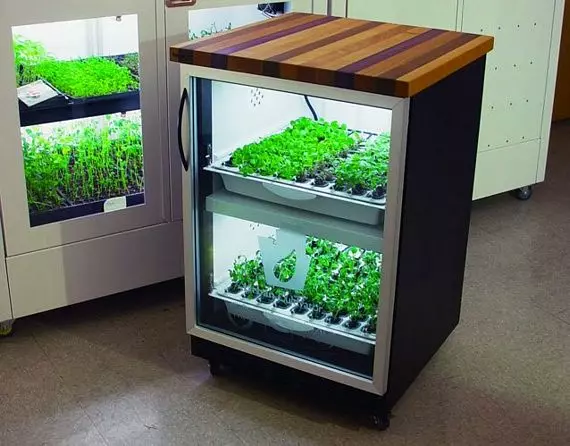 Shtëpia Urban Cultivator është një sistem mini-hidroponik për kuzhinën tuaj 3456_1