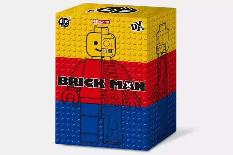 4D Master Jason Freeny Brick Man Anatomi Puzzle 346_3