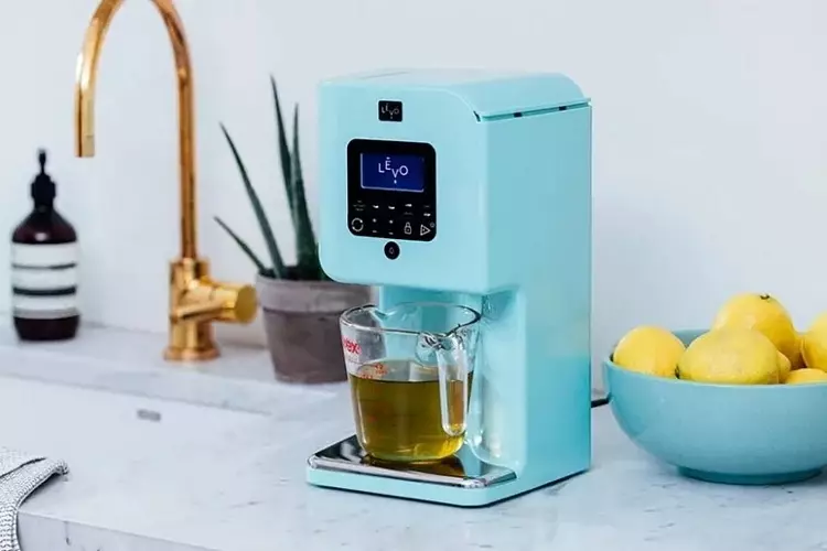 Levo II Countertop Infuser