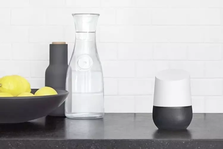 Google Home 4846_3