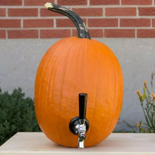 Pumpkin Tap Kit 5204_1