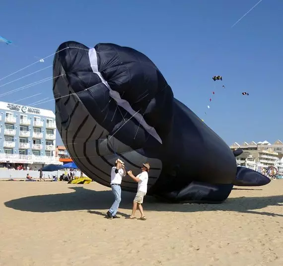 Un cerf-volant baleine bleu grandeur nature et réaliste 5606_2