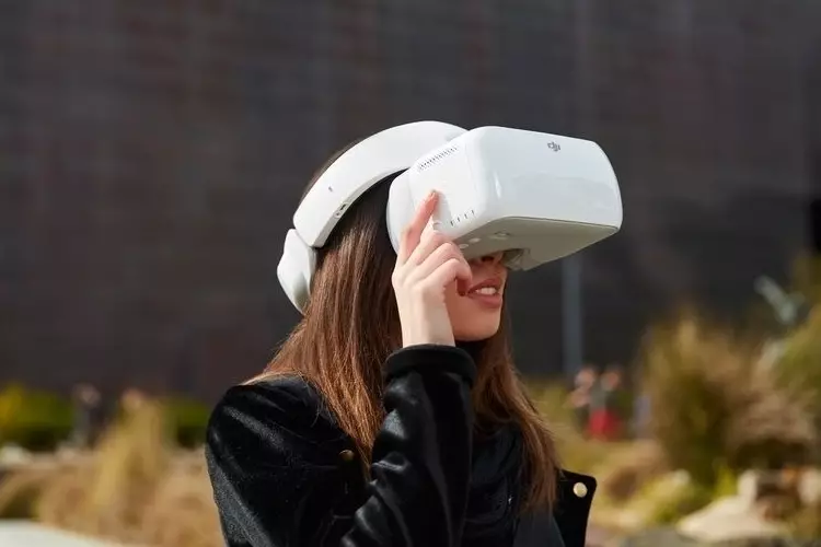 DJI Goggles