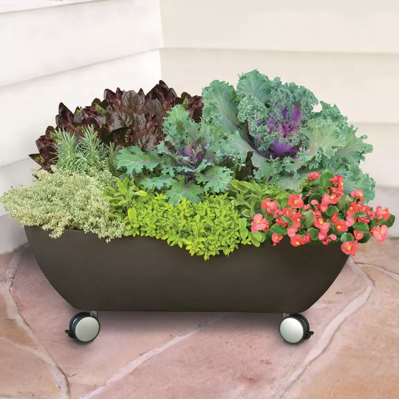 Mobile Patio Garden er en haveseng med hjul