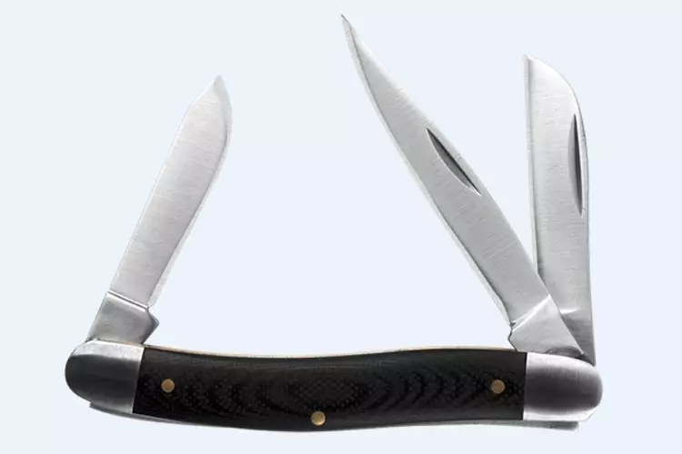 Kershaw Brandywine