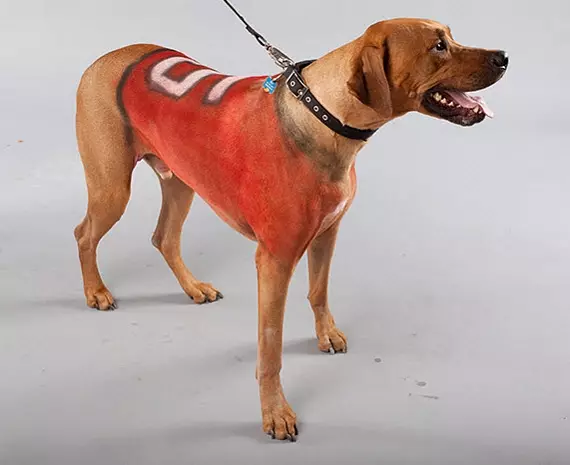 PetPaint reňkli saç spreýleri 7138_4