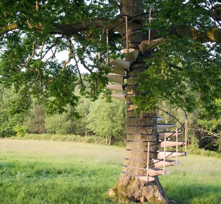 CanopyStair Árbol Escalera 7158_1