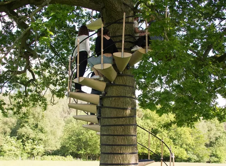 CanopyStair Tree Stairway 7158_2