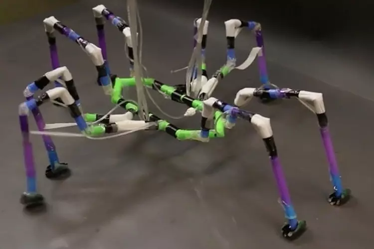 Arthrobots Spider Robots 7656_1