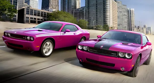 Gaharly Fuchsia Dodge Challenger: Sebäbi hakyky erkekler gülgüne awtoulaglary sürýärler 768_1