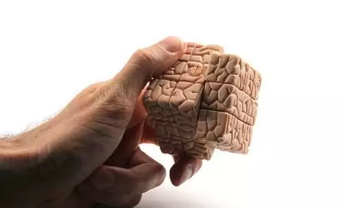 Brain Cube ເຮັດໃຫ້ທ່ານເອົາສະຫມອງ Squishy ຮ່ວມກັນ 7958_2