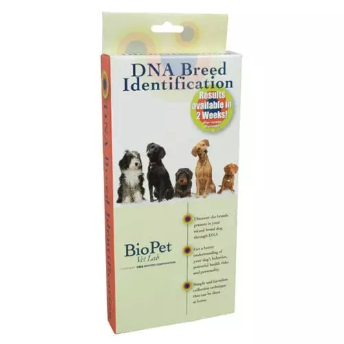 BioPet DNA Breed ID Kit-ek zure txakurraren arbasoak CSI bezala ezagutzen ditu 9574_1